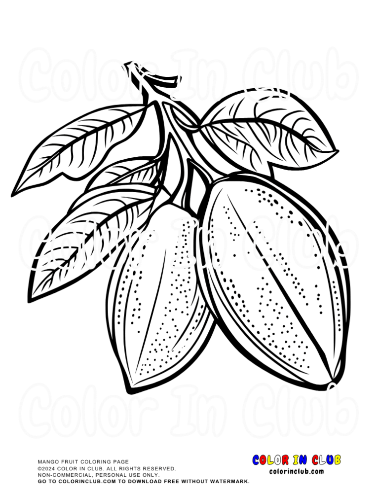 Mango Fruit Coloring Page (Free Printable PDF)